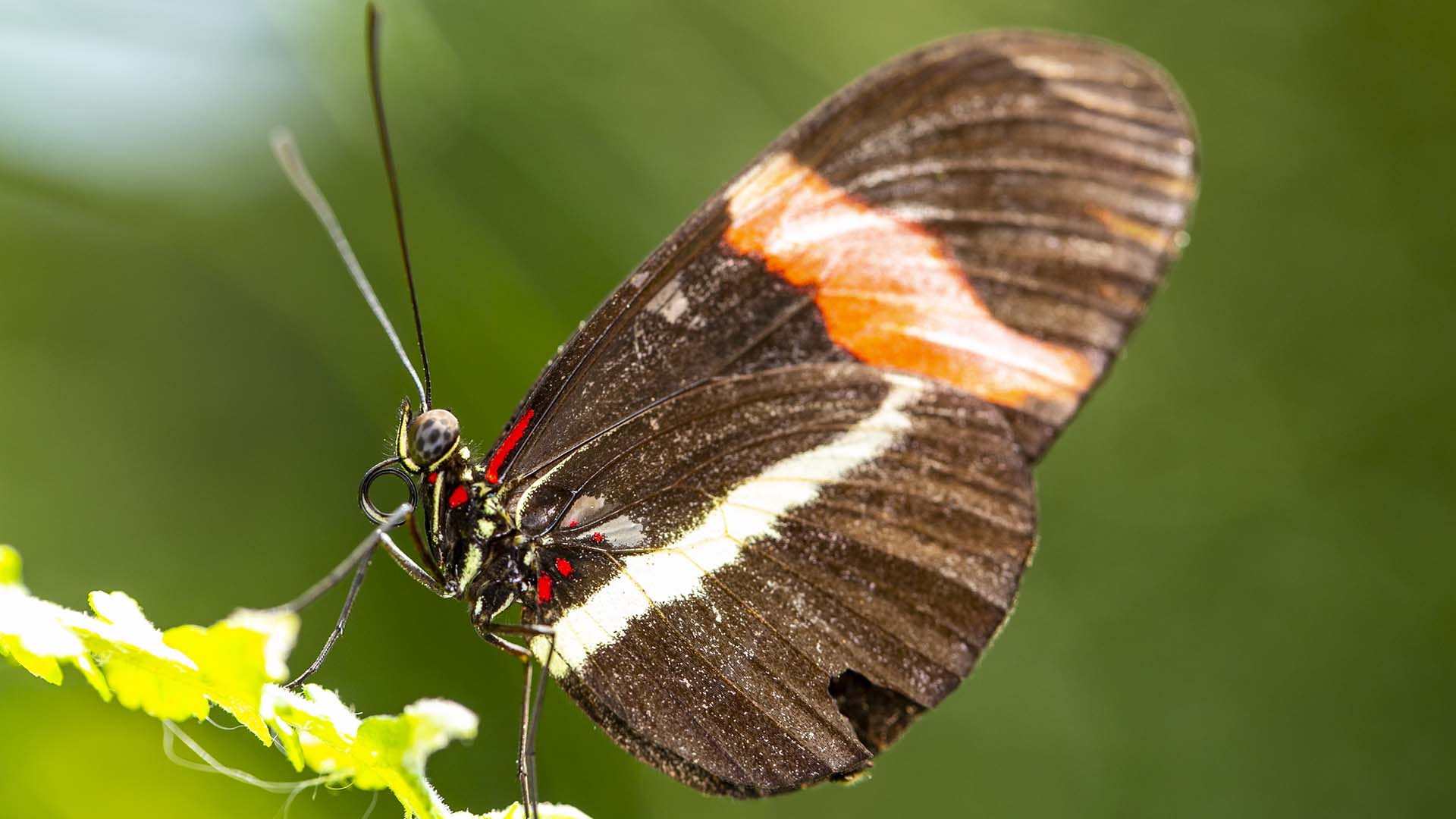 Mike Abate Photography – Exploring our world…one photo at a time