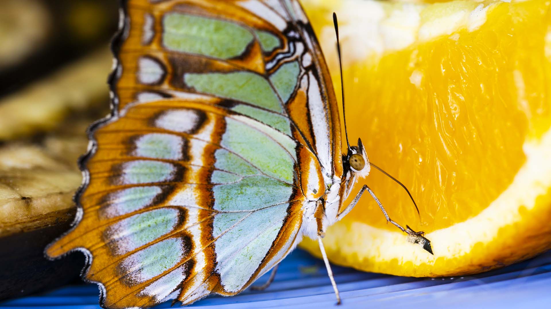 Mike Abate Photography – Exploring our world…one photo at a time