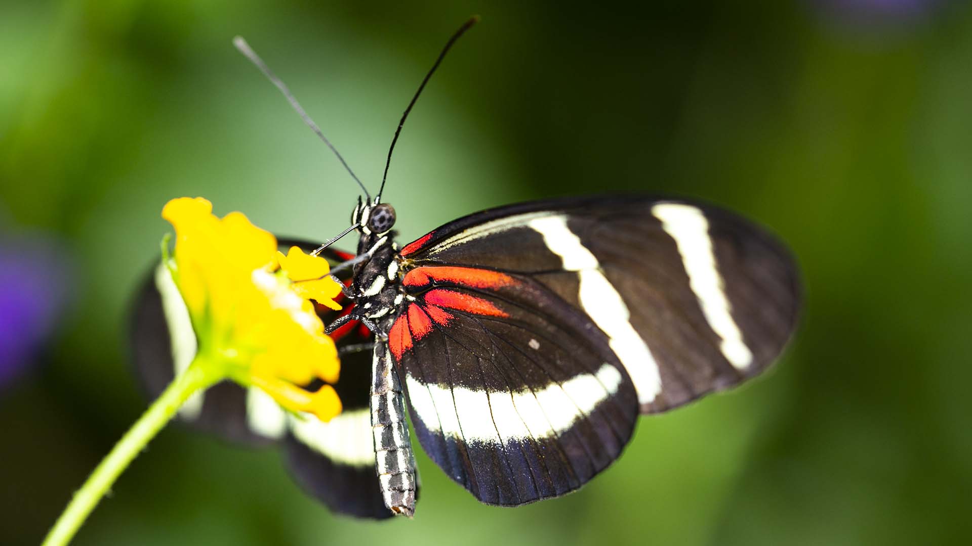 Mike Abate Photography – Exploring our world…one photo at a time