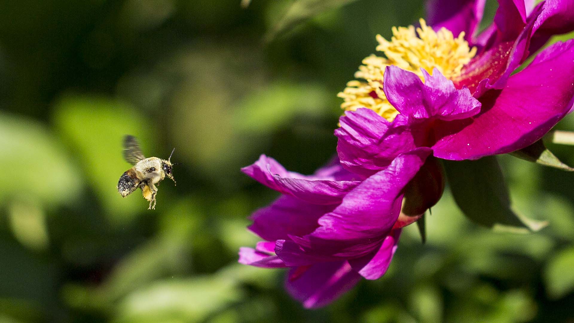 Mike Abate Photography – Exploring our world…one photo at a time