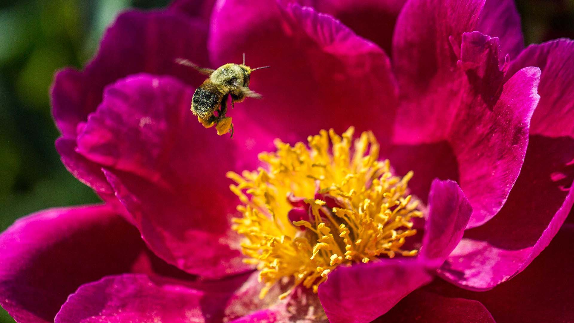 Mike Abate Photography – Exploring our world…one photo at a time